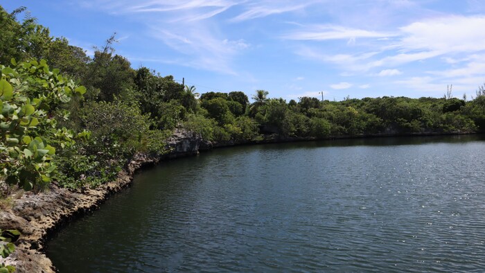 South Eleuthera Exploration & Workshop | Port Adventures | Disney ...