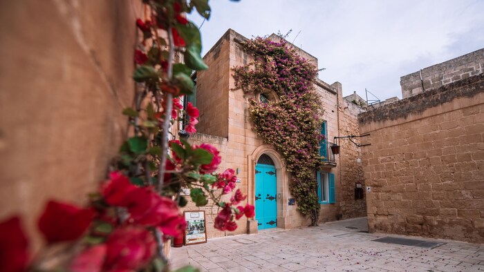 Mdina and Wine Tasting Experience | Port Adventures | Disney Cruise Line