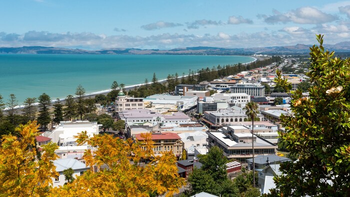Cruise from Napier, New Zealand | Disney Cruise Line