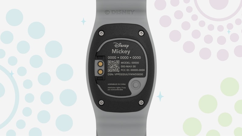 DisneyBand+ Available on Select Cruises | Disney Cruise Line