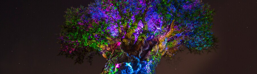 Moonlight Magic at Animal Kingdom | Disney Vacation Club Moonlight ...