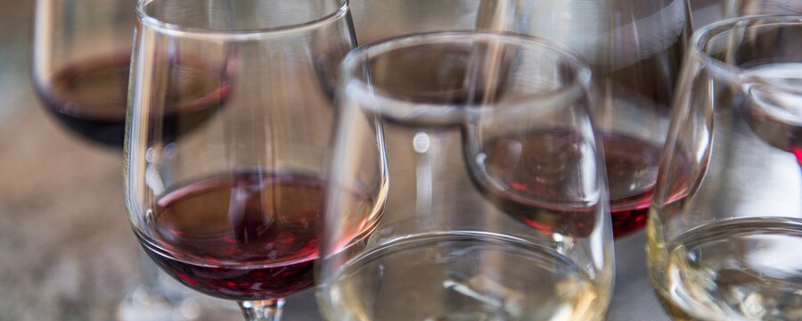 Beverage Tasting Series at Reunion Station | Disney Vacation Club