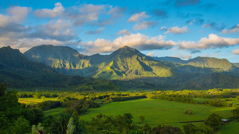 Hanalei Valley Sightseeing Tour from Nawiliwili | Disney Cruise Line