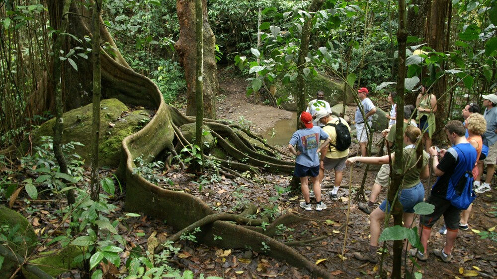 St. Kitts Rainforest Hike | Disney Cruise Line