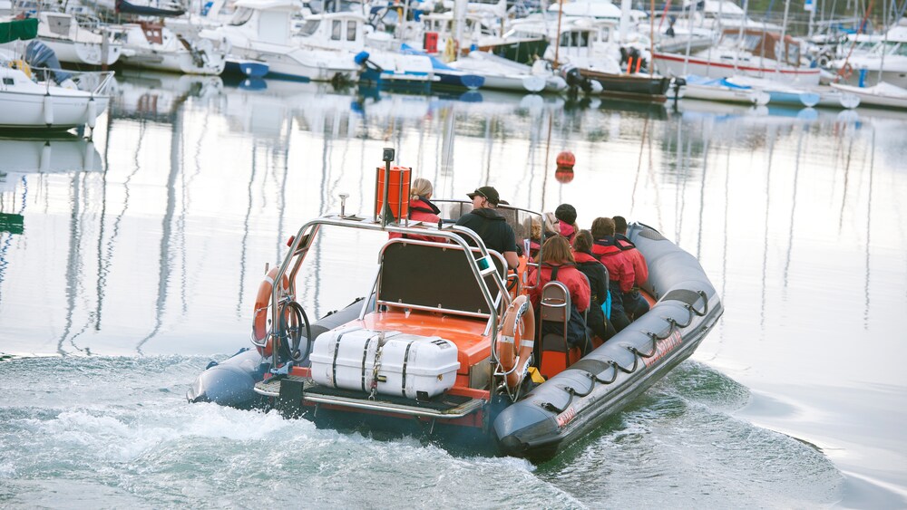 Cork Harbour Sea Safari, Coastal Tour & Irish Coffee | Disney Cruise Line