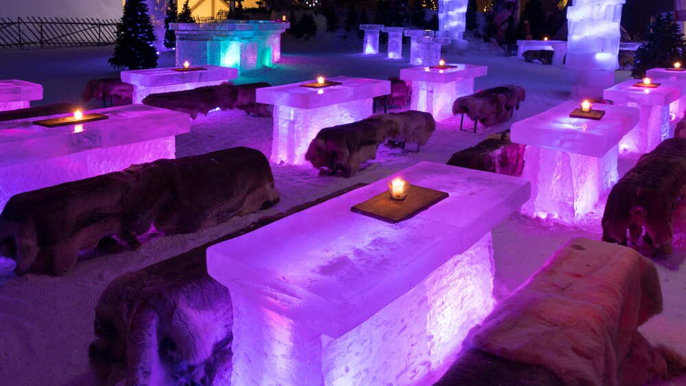 Winter World Ice Bar & Helsinki Sightseeing | Disney Cruise Line