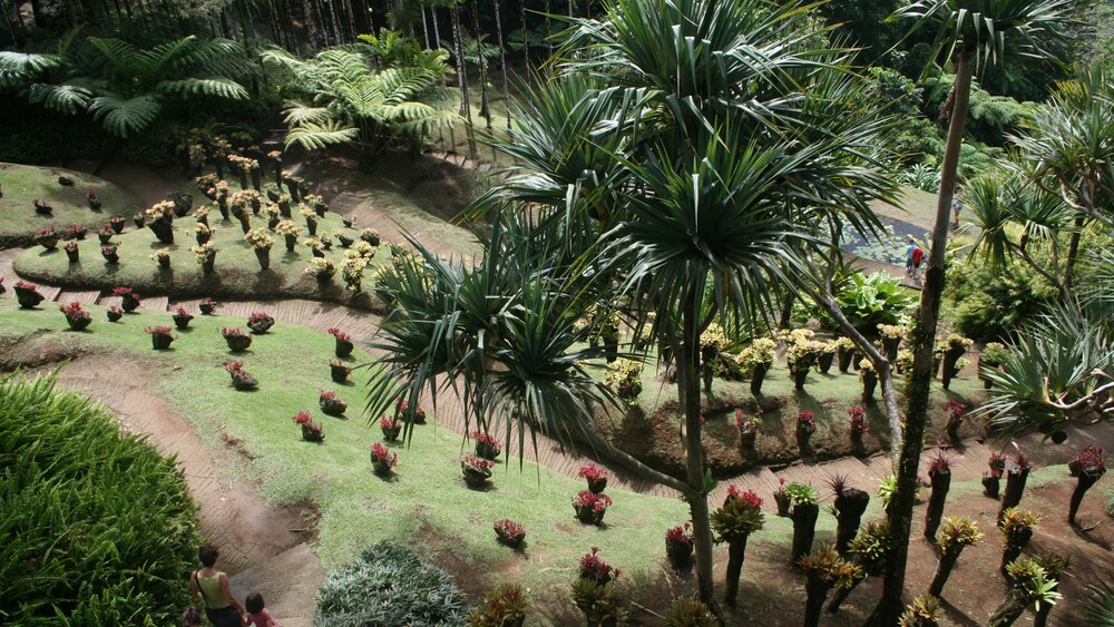 Martinique Botanical Gardens & Zoo | Disney Cruise Line