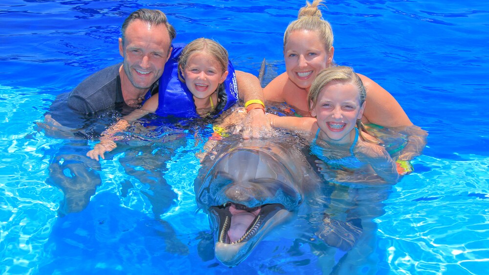 Dolphin Encounter in Puerto Vallarta | Disney Cruise Line