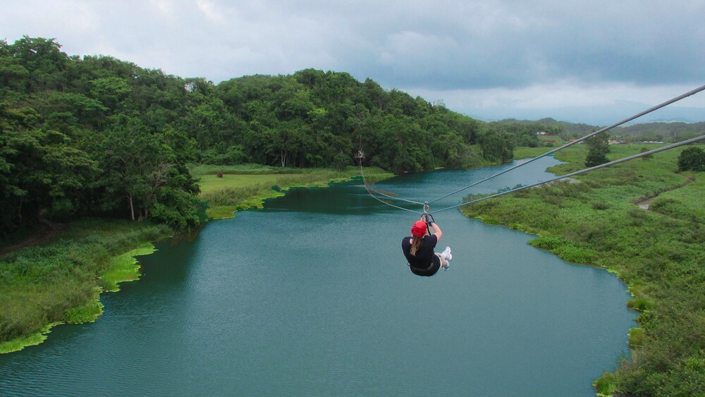 Canopy Tour Zipline Adventure at Campo Rico | Disney Cruise Line