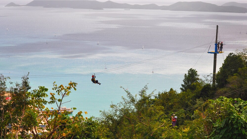 Tortola Ziplining & Scenic Drive | Disney Cruise Line