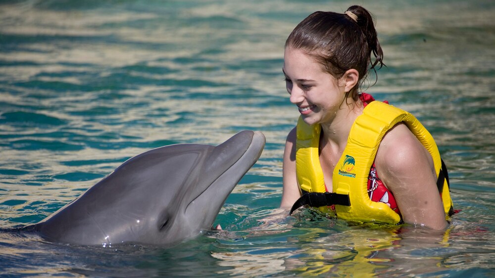 Dolphin Encounter & Kuza Beach Day in Cozumel | Port Adventures ...