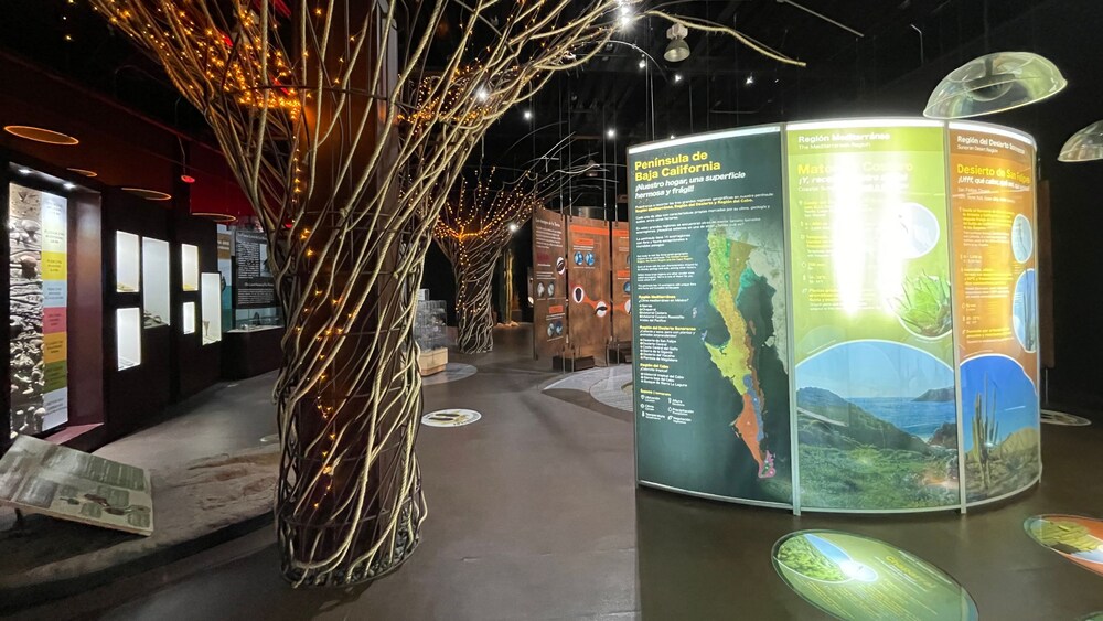 Ensenada Family Museums & Planetarium | Port Adventures | Disney Cruise ...
