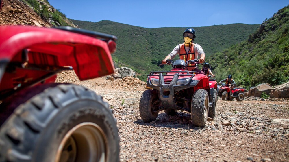 Guadalupe Valley ATV Adventure | Disney Cruise Line