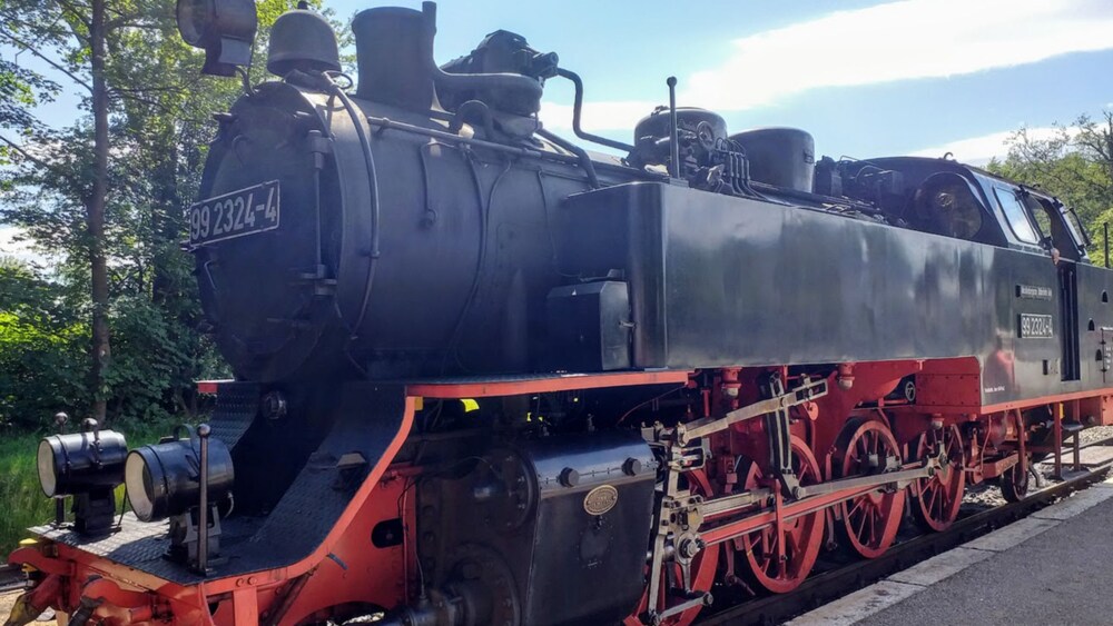 Molli Steam Train to Mecklenburg | Disney Cruise Line
