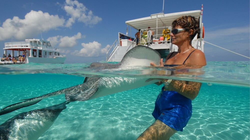 Stingray Sandbar and Snorkel Trip | Disney Cruise Line