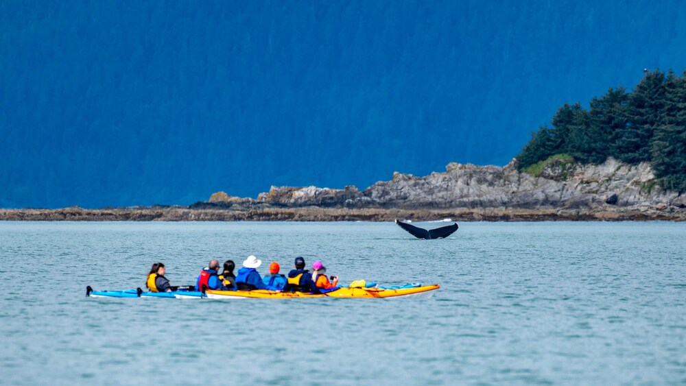 Kayak with Whales in Alaska | Port Adventures | Disney Cruise Line