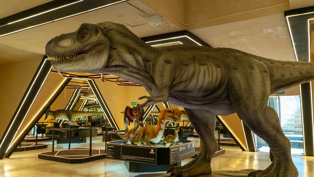 Dinosaur Museum in Yucatan, Mexico | Port Adventures | Disney Cruise Line